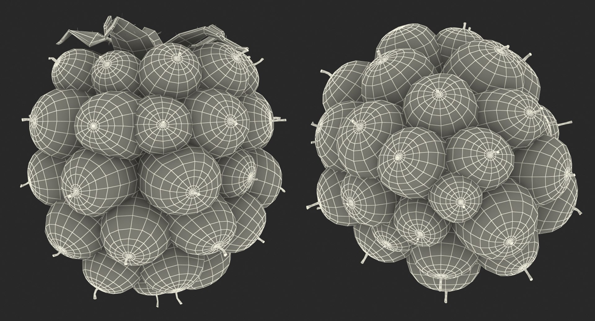 3D Model Blackberry Fur - TurboSquid 1380359