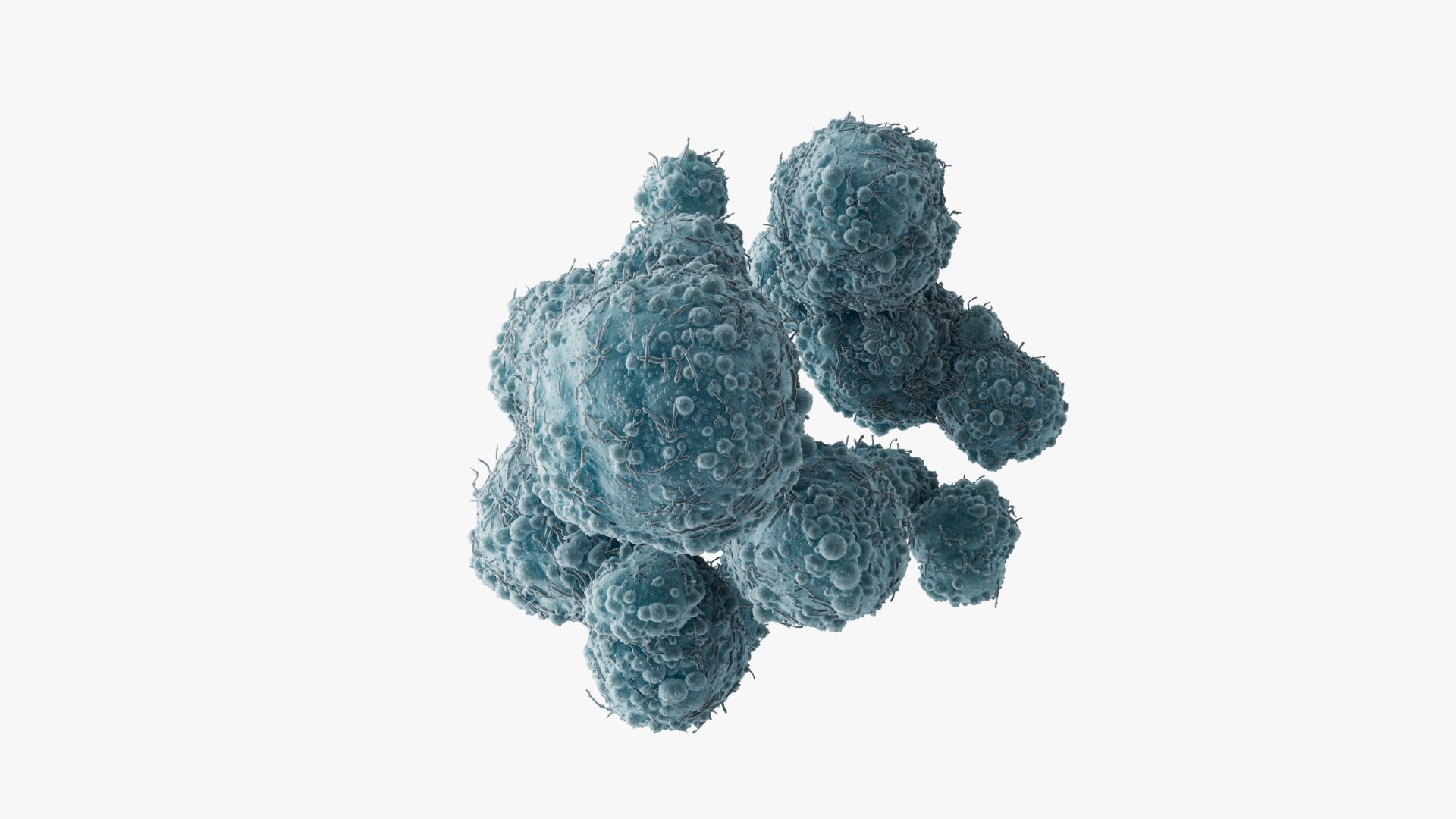 3D Model Cancer Cells Brain 9 - TurboSquid 2225363