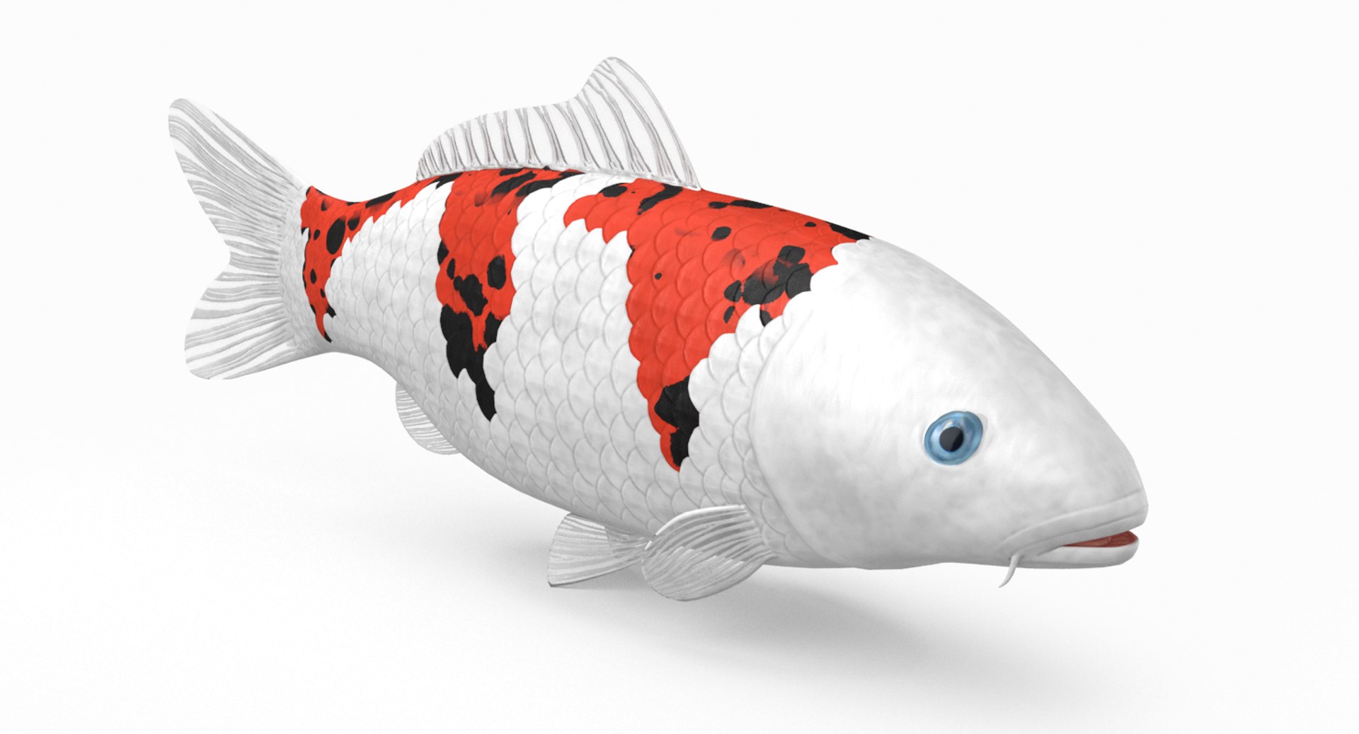 3D koi fish model - TurboSquid 1248018