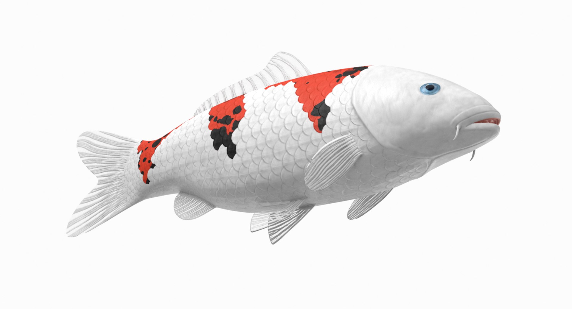 3D koi fish model - TurboSquid 1248018