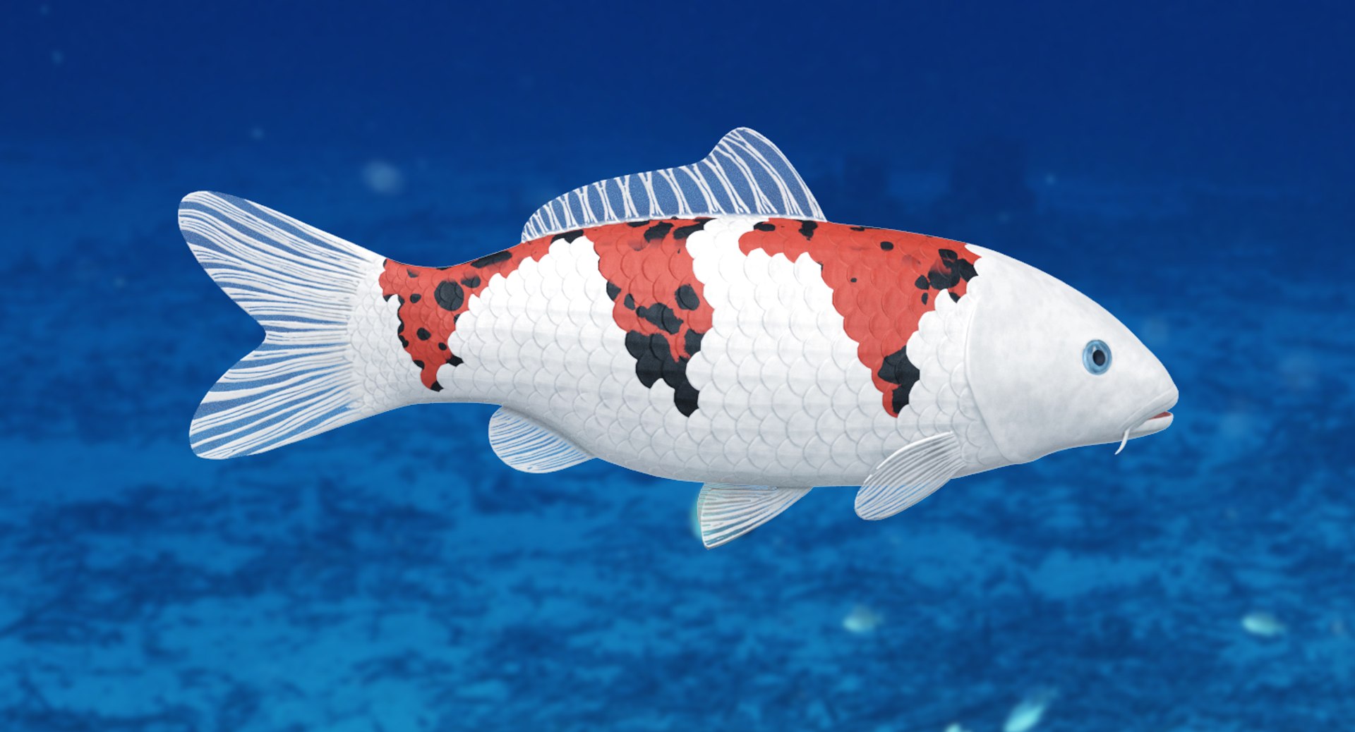 3D koi fish model - TurboSquid 1248018