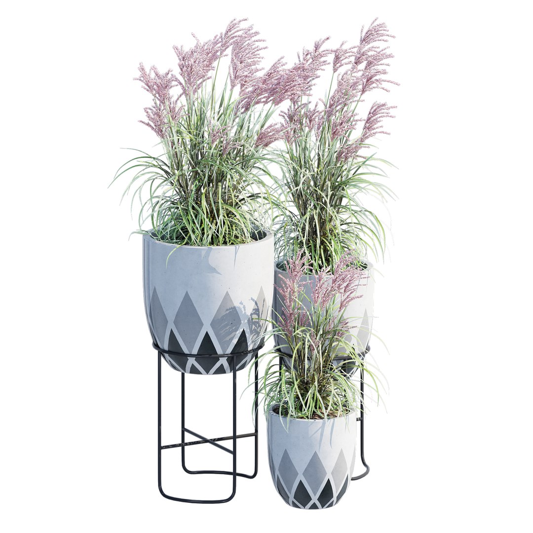 3D Harlequin - TurboSquid 2185537