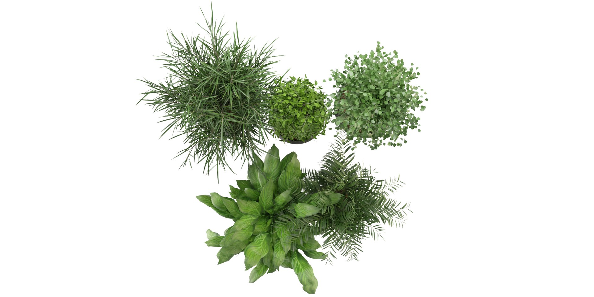 3D Collection plant vol 231 - blender model - TurboSquid 2087061