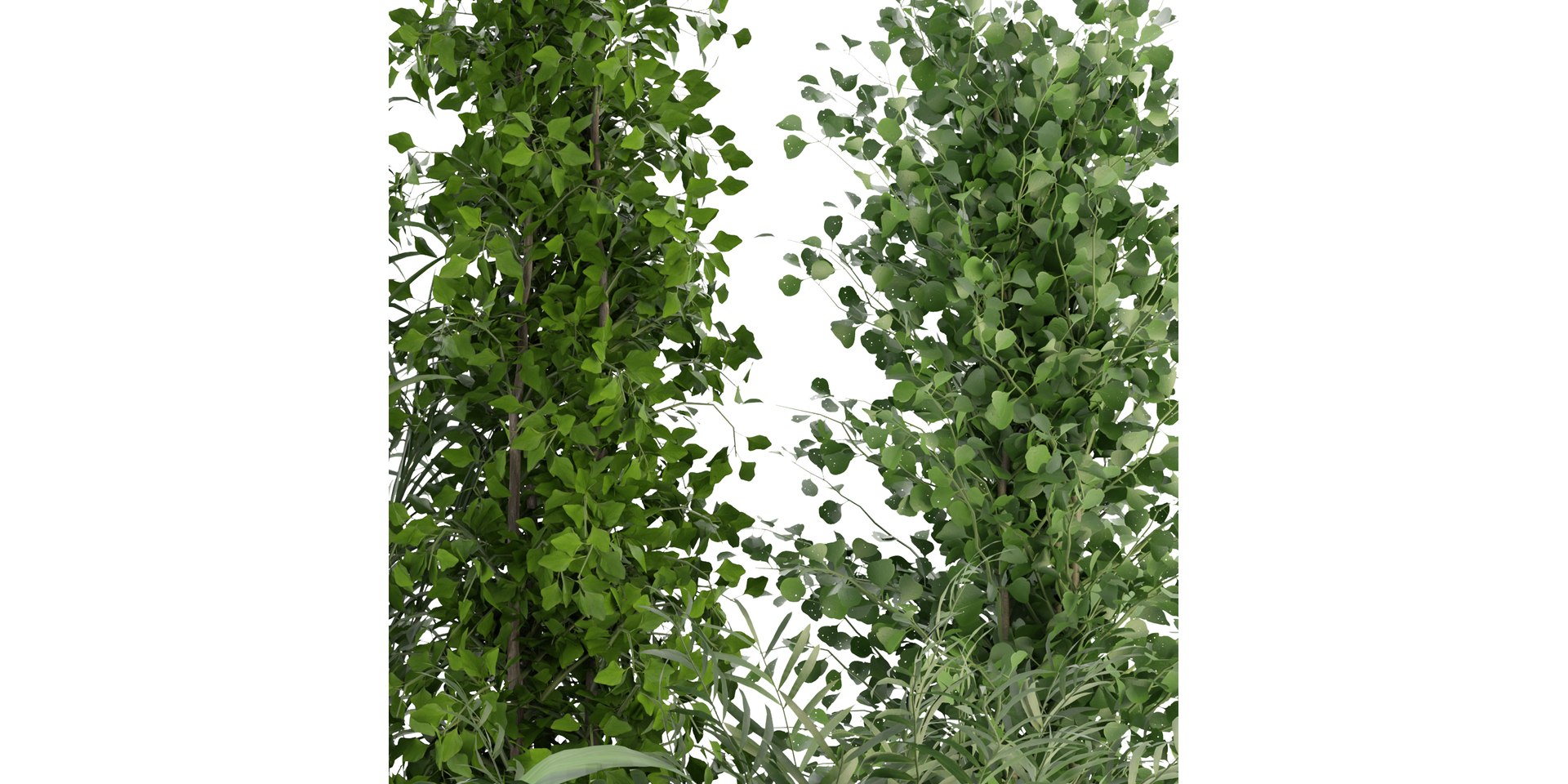 3D Collection plant vol 231 - blender model - TurboSquid 2087061