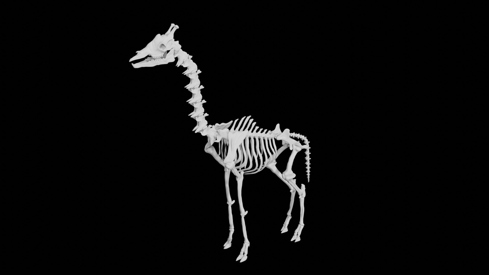 3D Giraffe Skeleton - TurboSquid 1857160