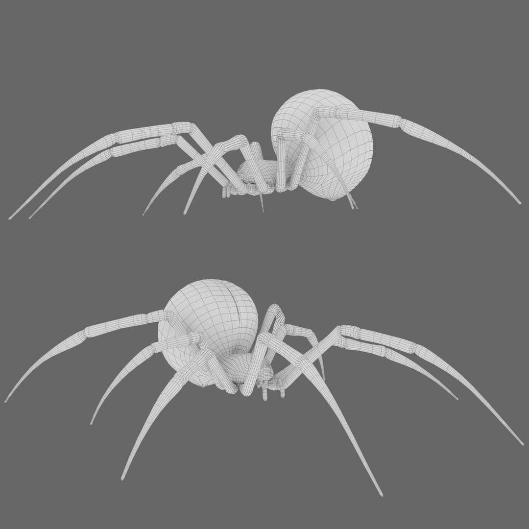 3D Model Spider Black Widow - TurboSquid 2239590