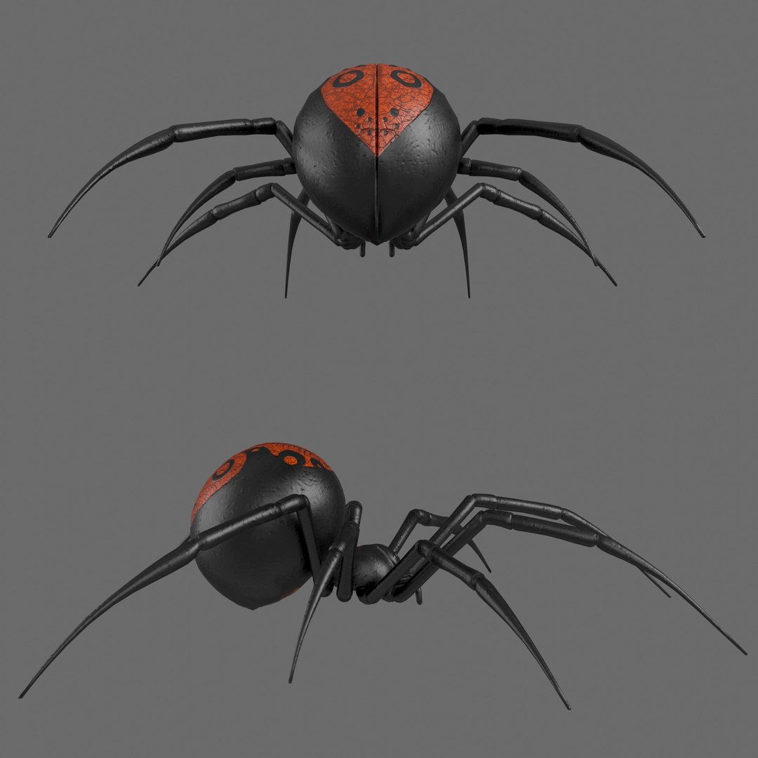 3D Model Spider Black Widow - TurboSquid 2239590