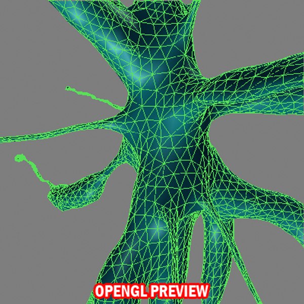 ready neuron electricity activity 3d model