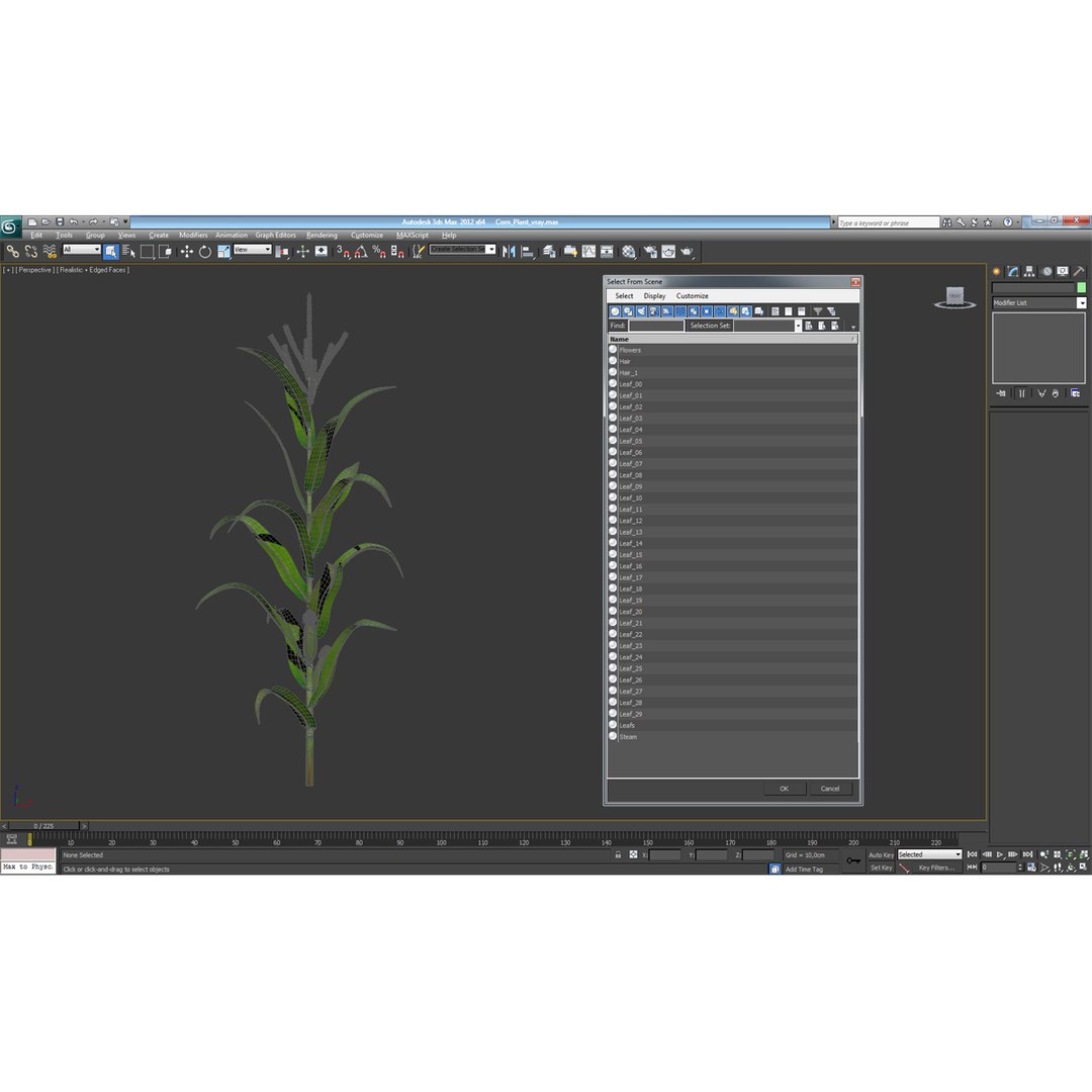 Corn Plant 3d Model