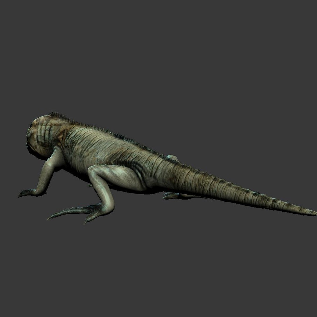 Iguana 3d Model