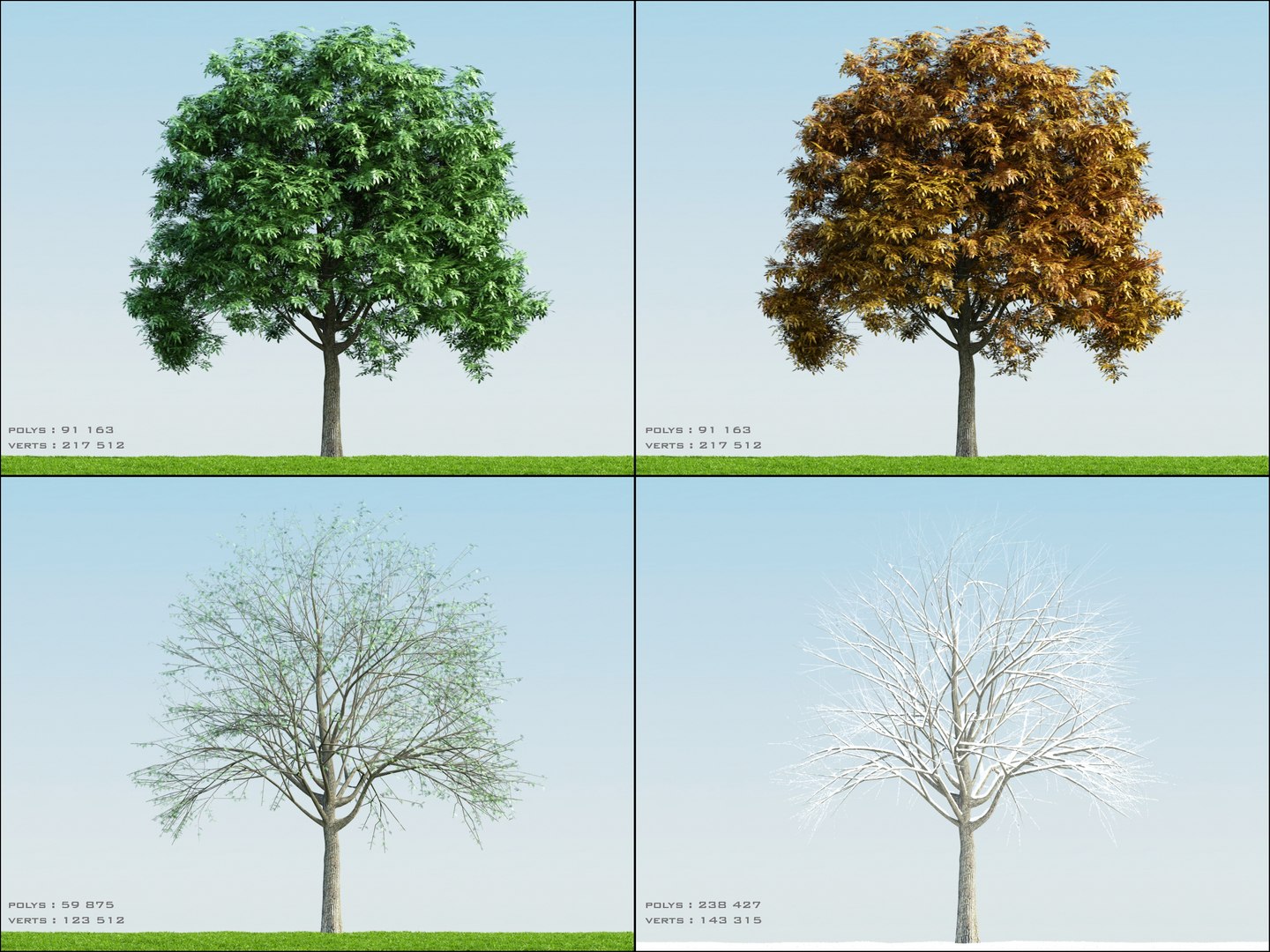 4 Season Tree Ash001 3d Max