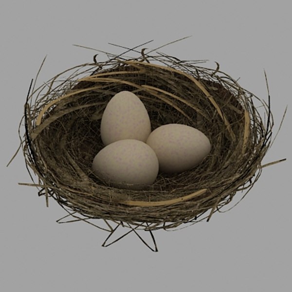 3d model of bird nest eggs