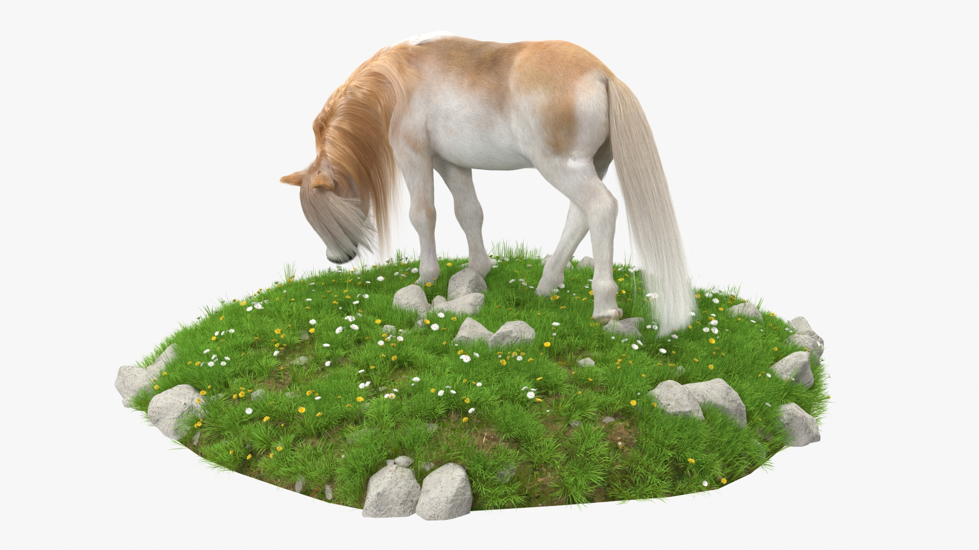 Pony With Long Mane Grazing In A Meadow Fur Model - TurboSquid 2237100