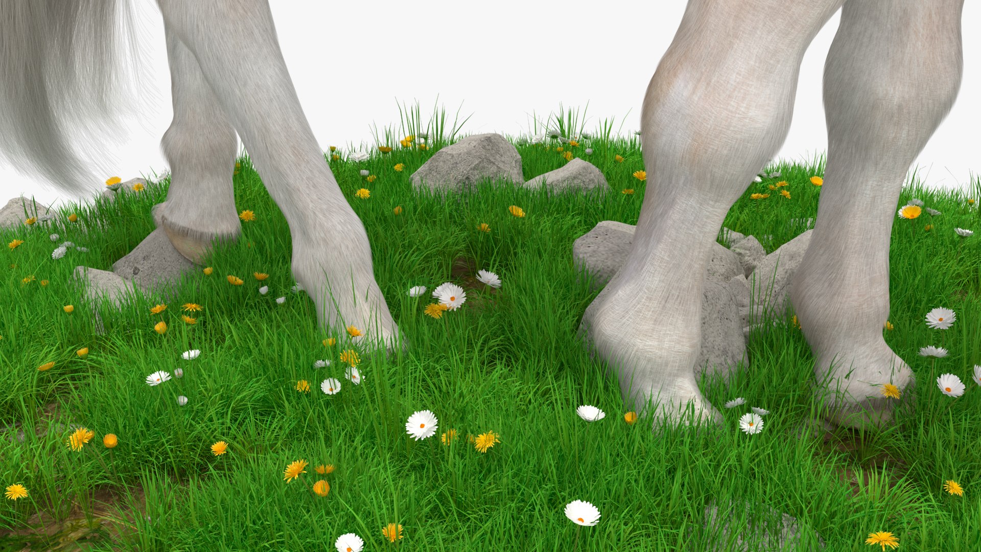 Pony With Long Mane Grazing In A Meadow Fur Model - TurboSquid 2237100