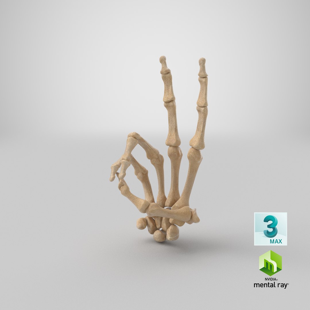 3D model human hand bones peace sign - TurboSquid 1608384