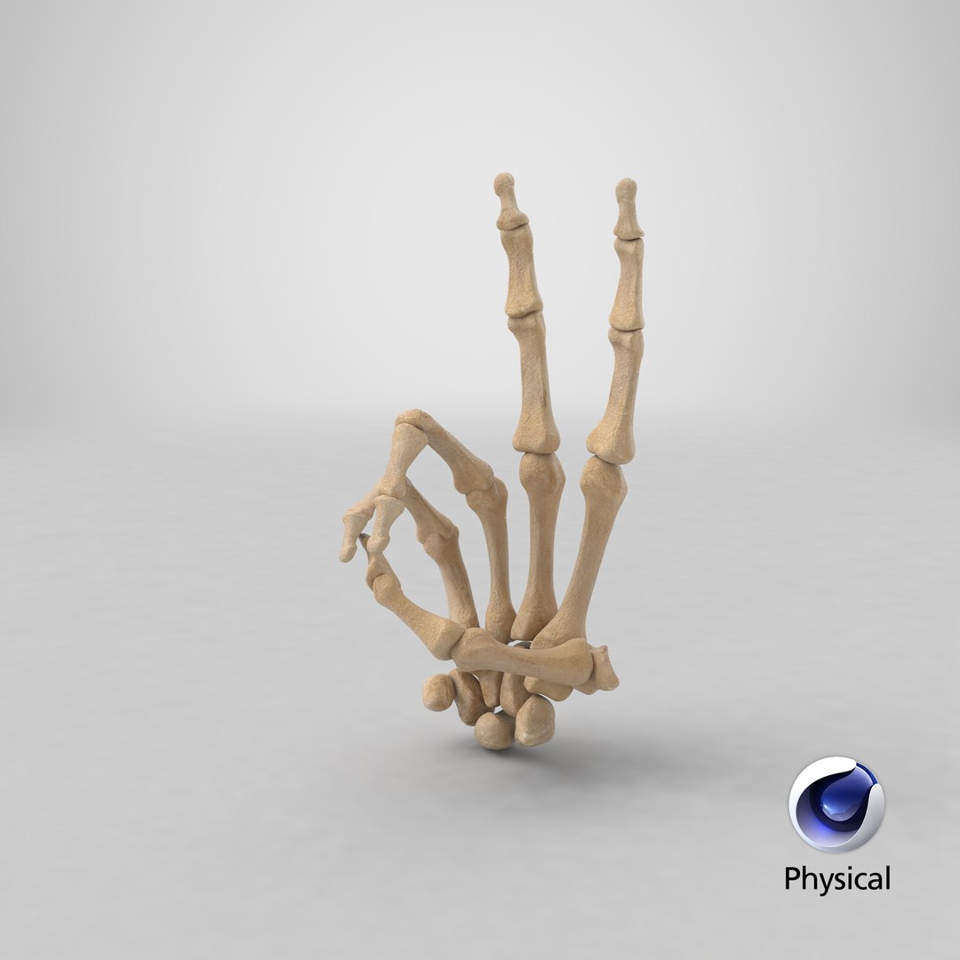 3D model human hand bones peace sign - TurboSquid 1608384