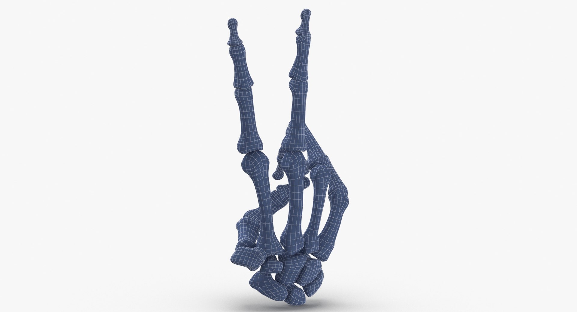 3D Model Human Hand Bones Peace Sign - TurboSquid 1608384