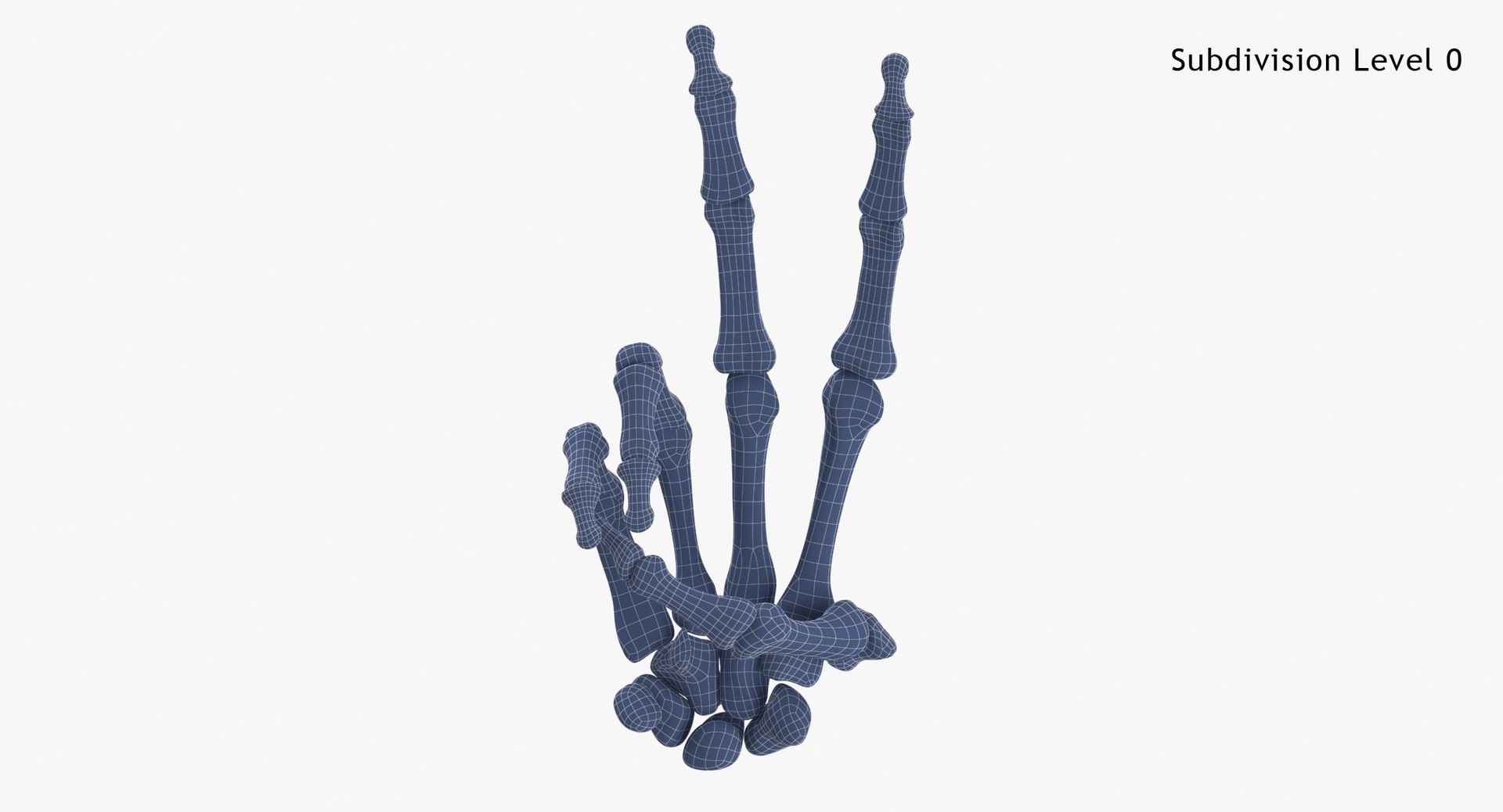 3D Model Human Hand Bones Peace Sign - TurboSquid 1608384