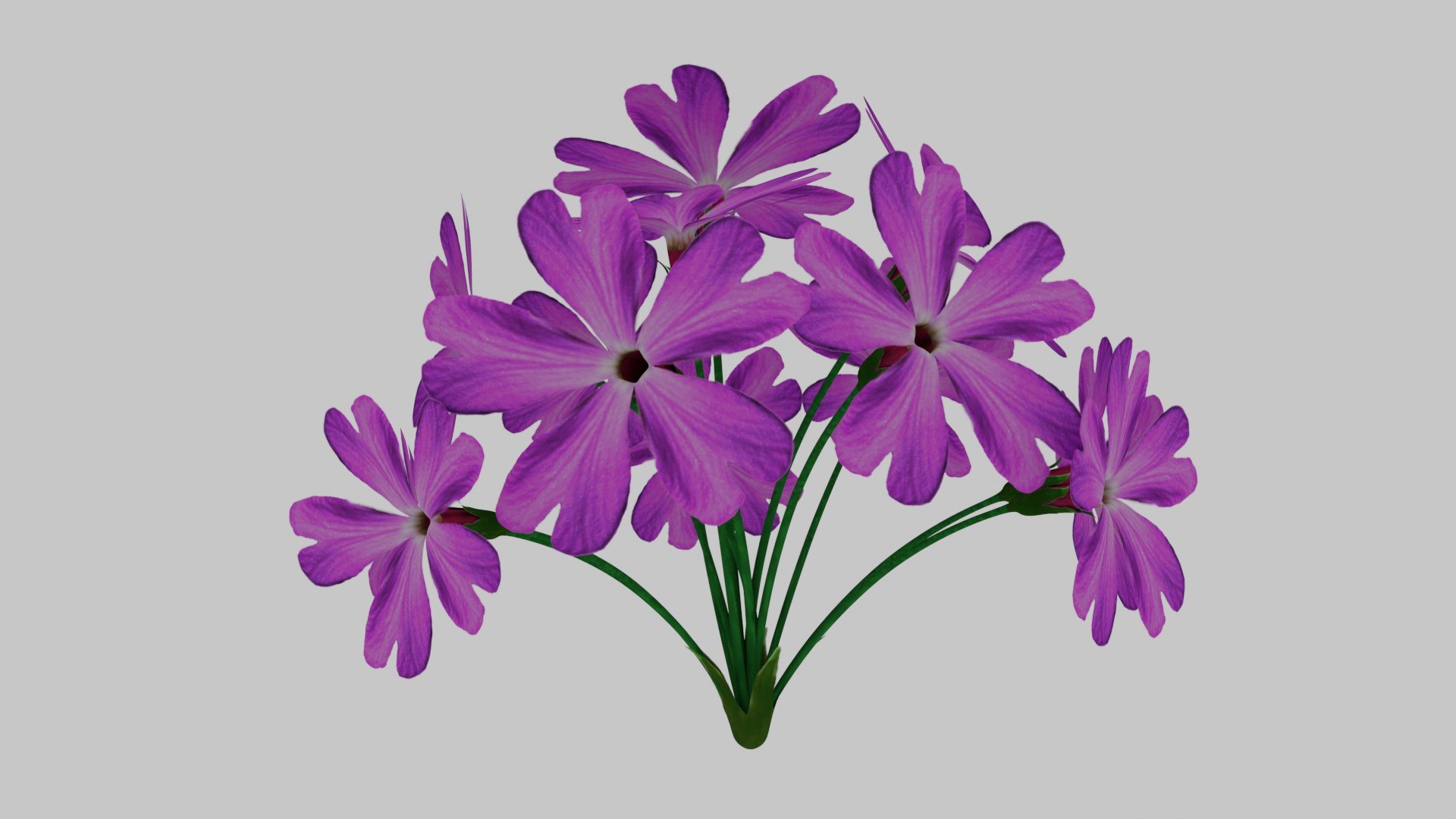 3D Violet Flower model - TurboSquid 2021320