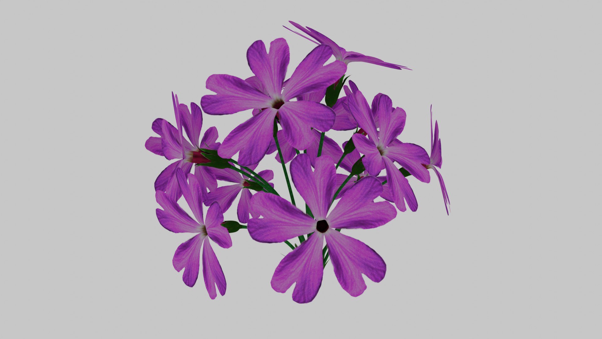 3D Violet Flower model - TurboSquid 2021320
