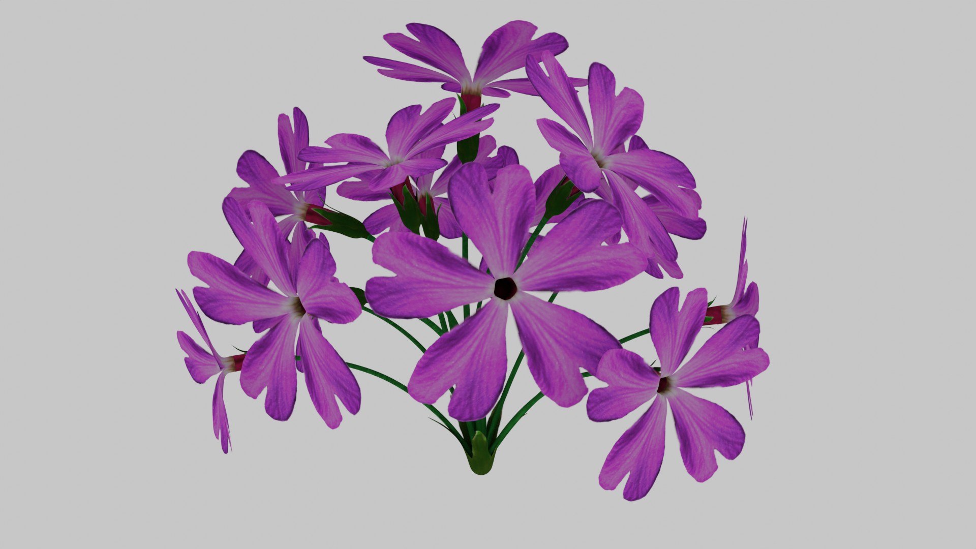 3D Violet Flower model - TurboSquid 2021320