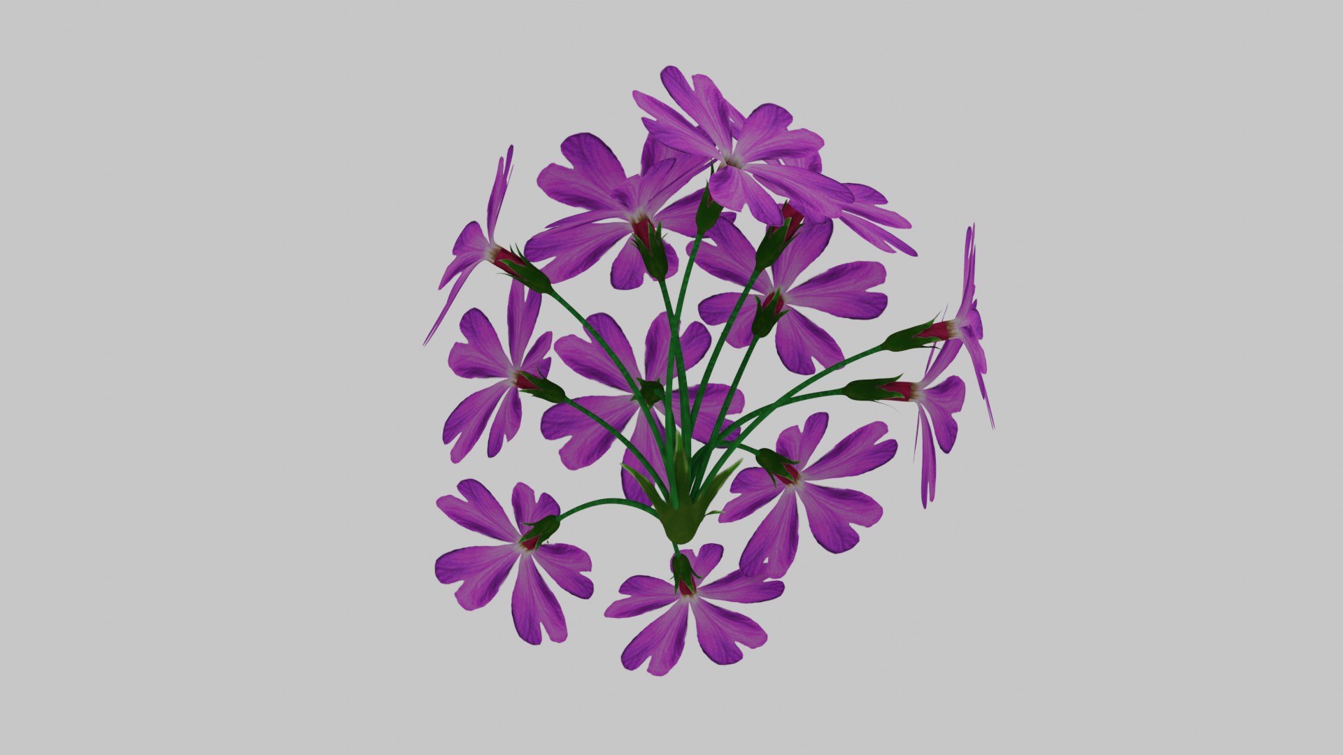 3D Violet Flower model - TurboSquid 2021320