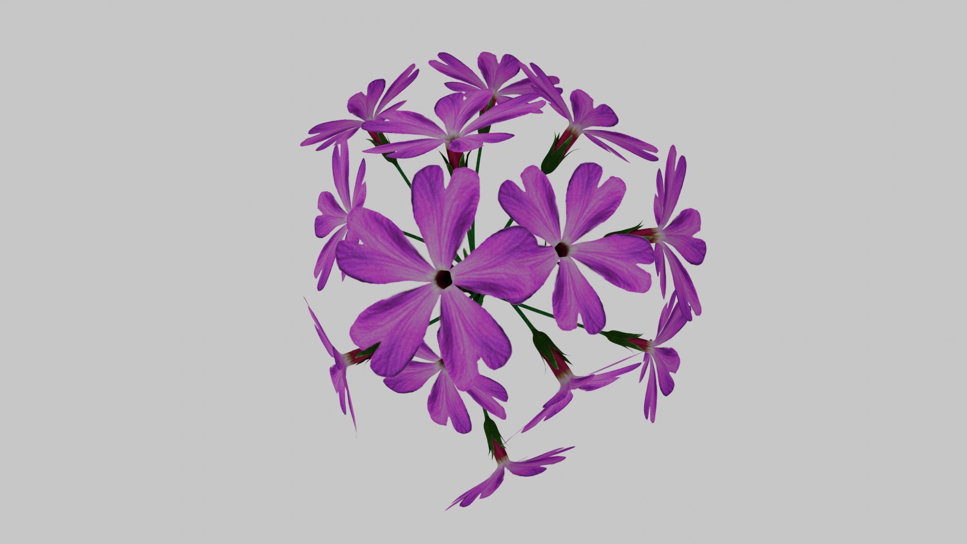 3D Violet Flower model - TurboSquid 2021320