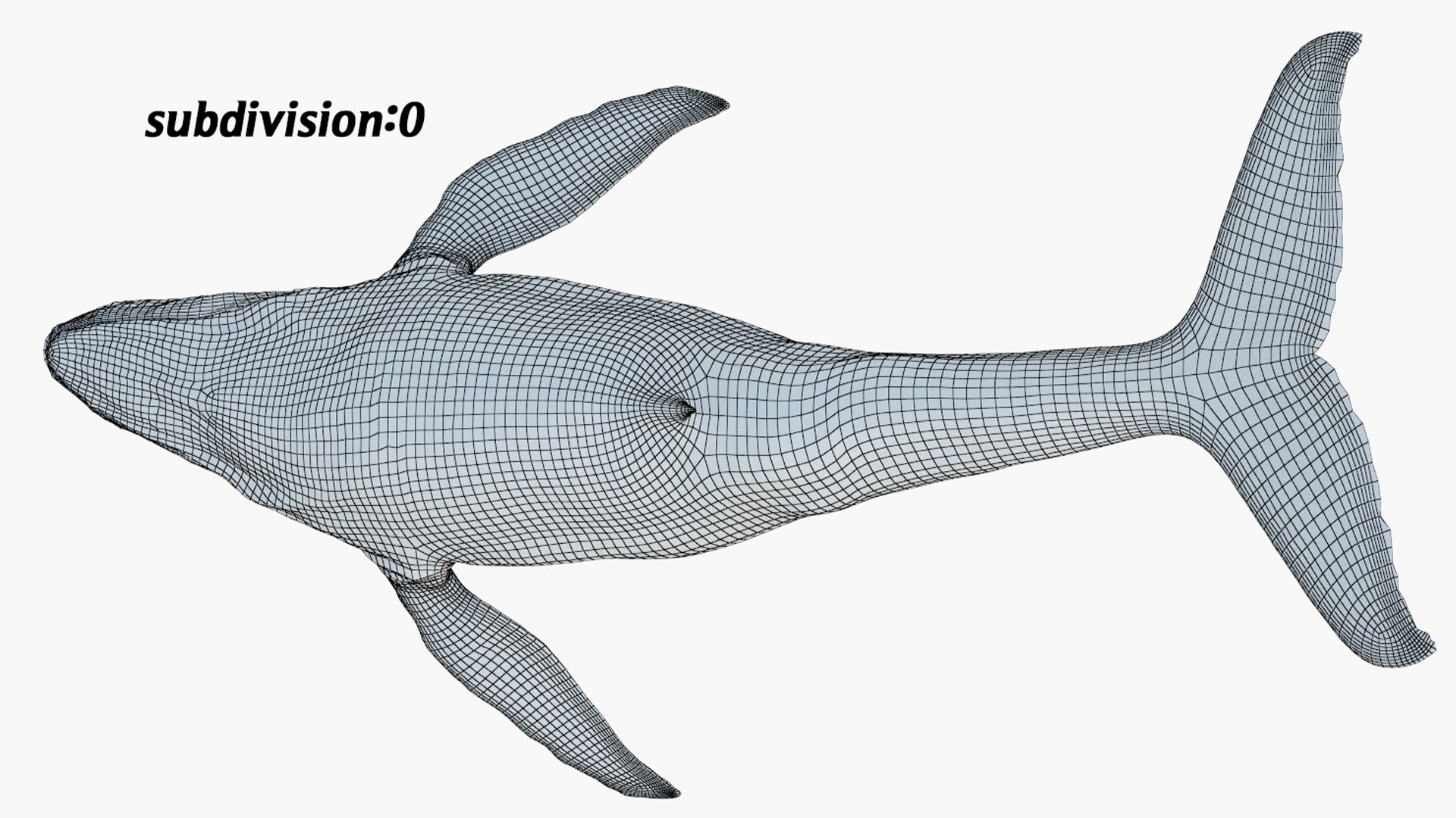Humpback Whale Rig Obj