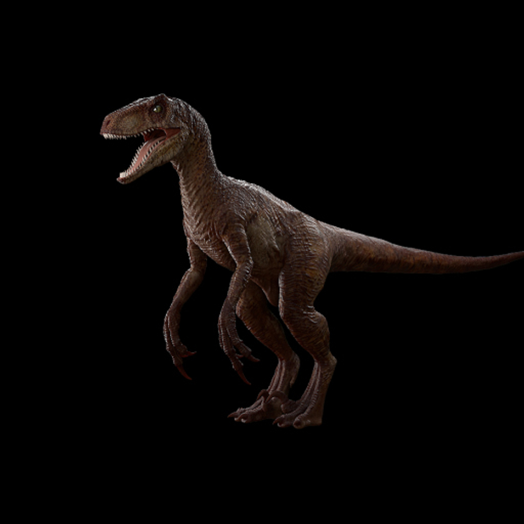 Velociraptor Jurassic Park 3d Ma