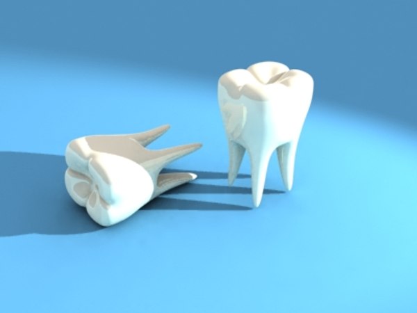 tooth 3d max