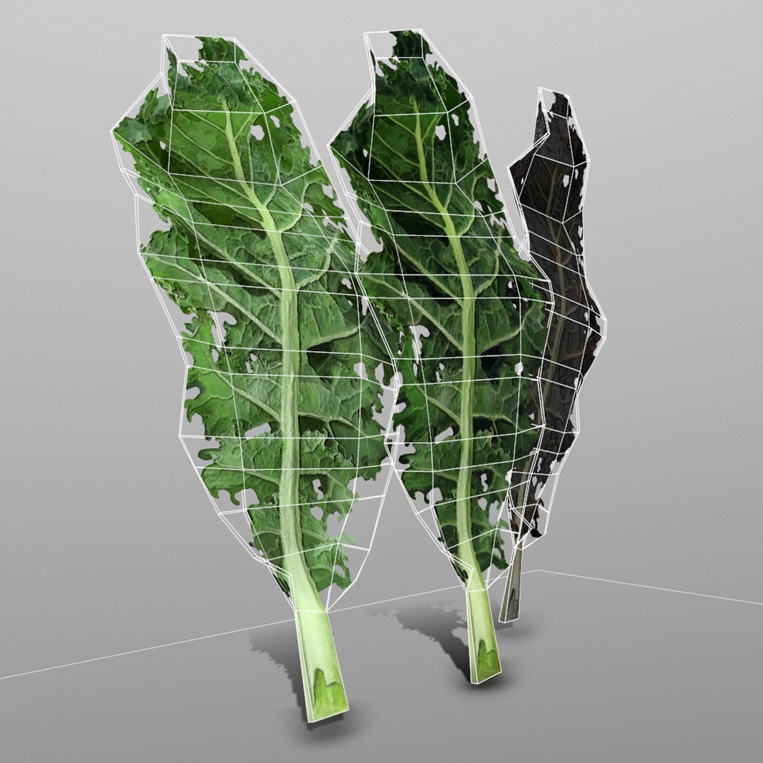 3D Model Kale Ready Games - TurboSquid 1289443