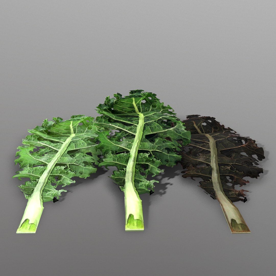 3D Model Kale Ready Games - TurboSquid 1289443