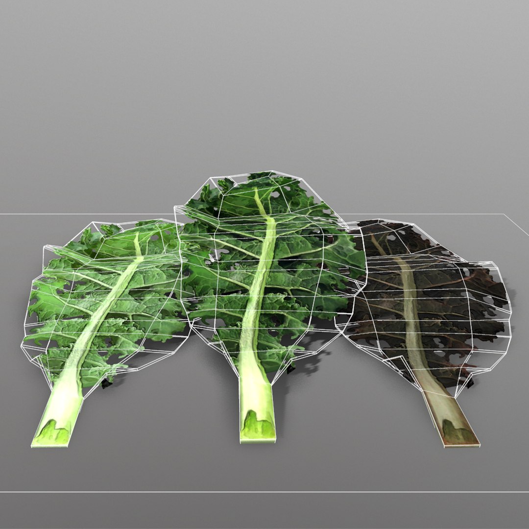 3D Model Kale Ready Games - TurboSquid 1289443