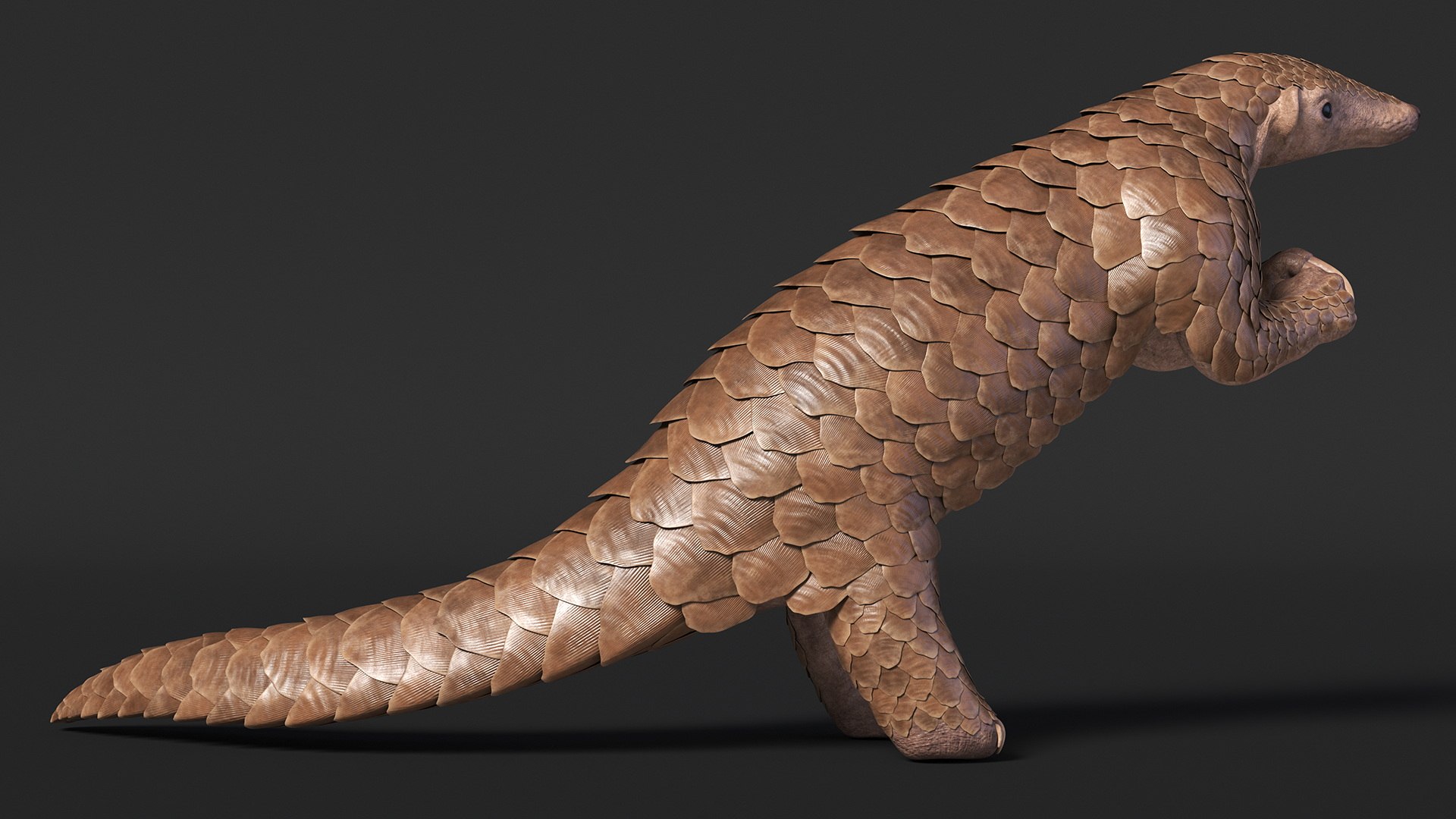 3D Realistic Pangolin In Standing Pose Model - TurboSquid 2218477