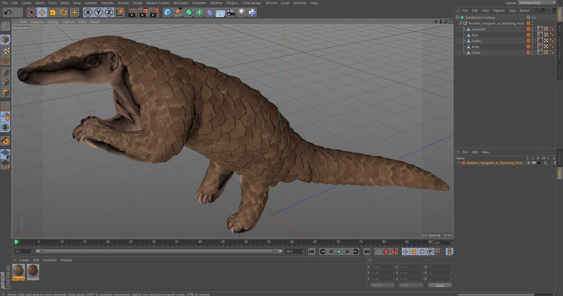 3D Realistic Pangolin In Standing Pose Model - TurboSquid 2218477