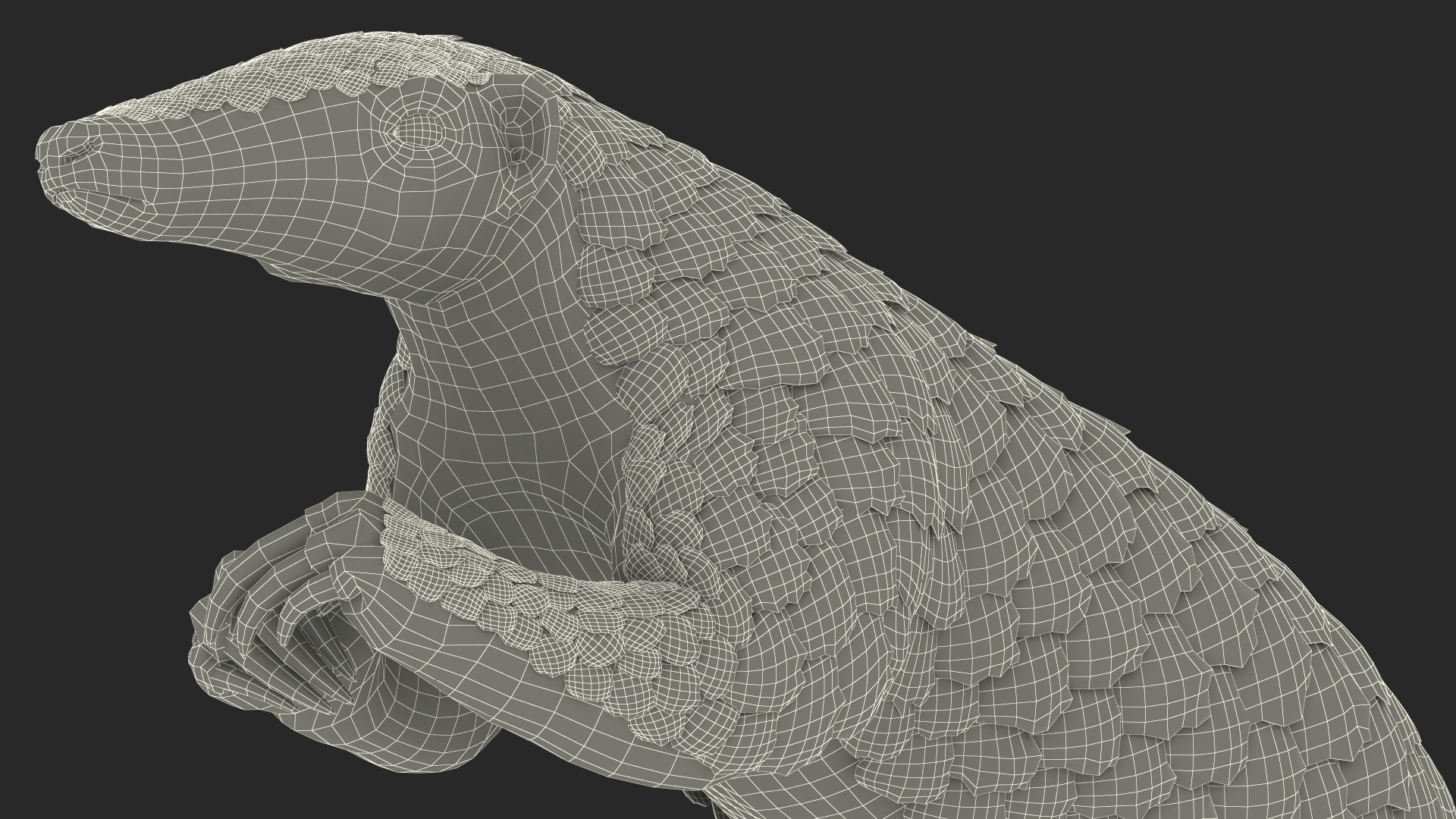3D Realistic Pangolin In Standing Pose Model - TurboSquid 2218477