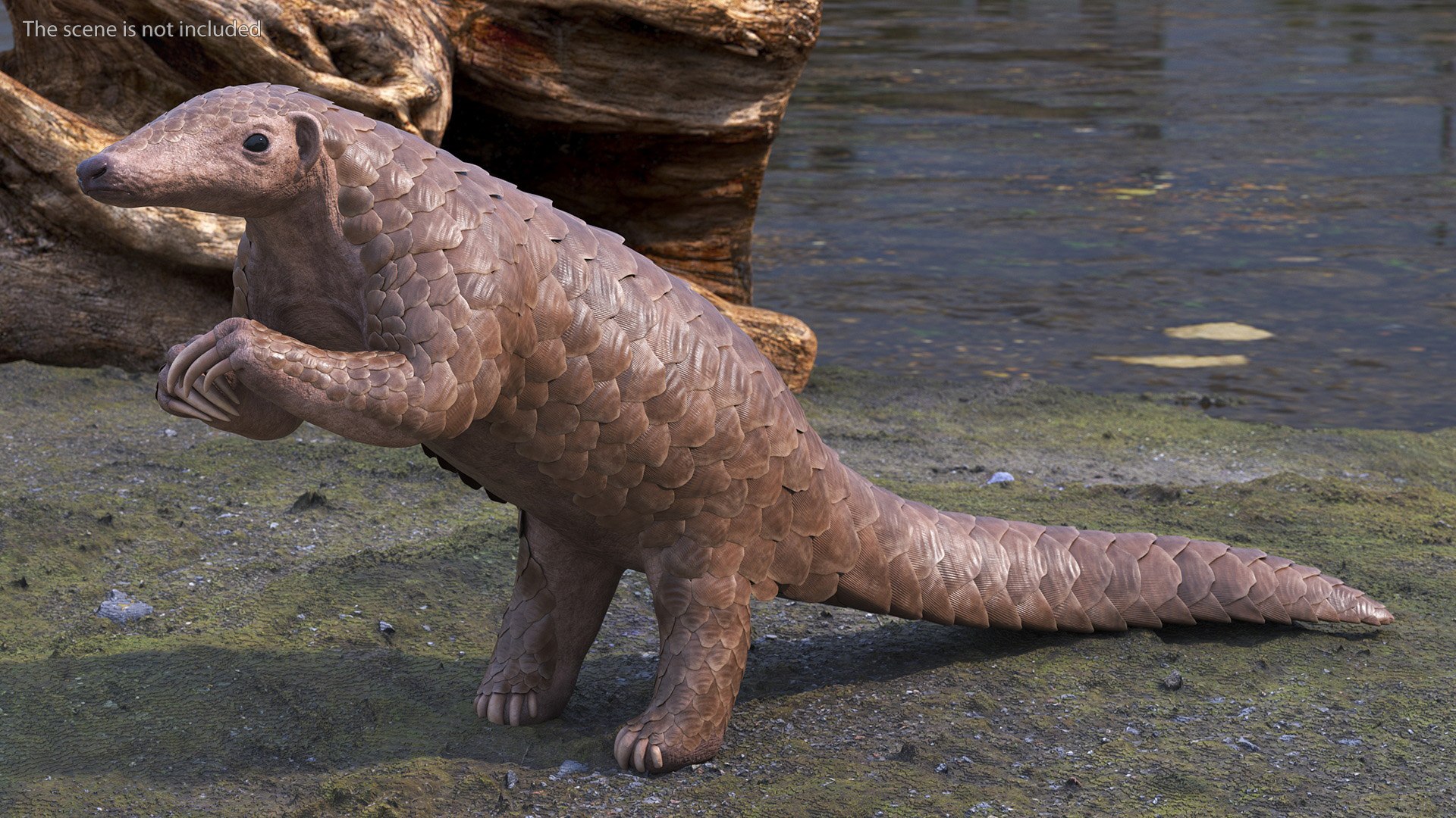 3D Realistic Pangolin In Standing Pose Model - TurboSquid 2218477
