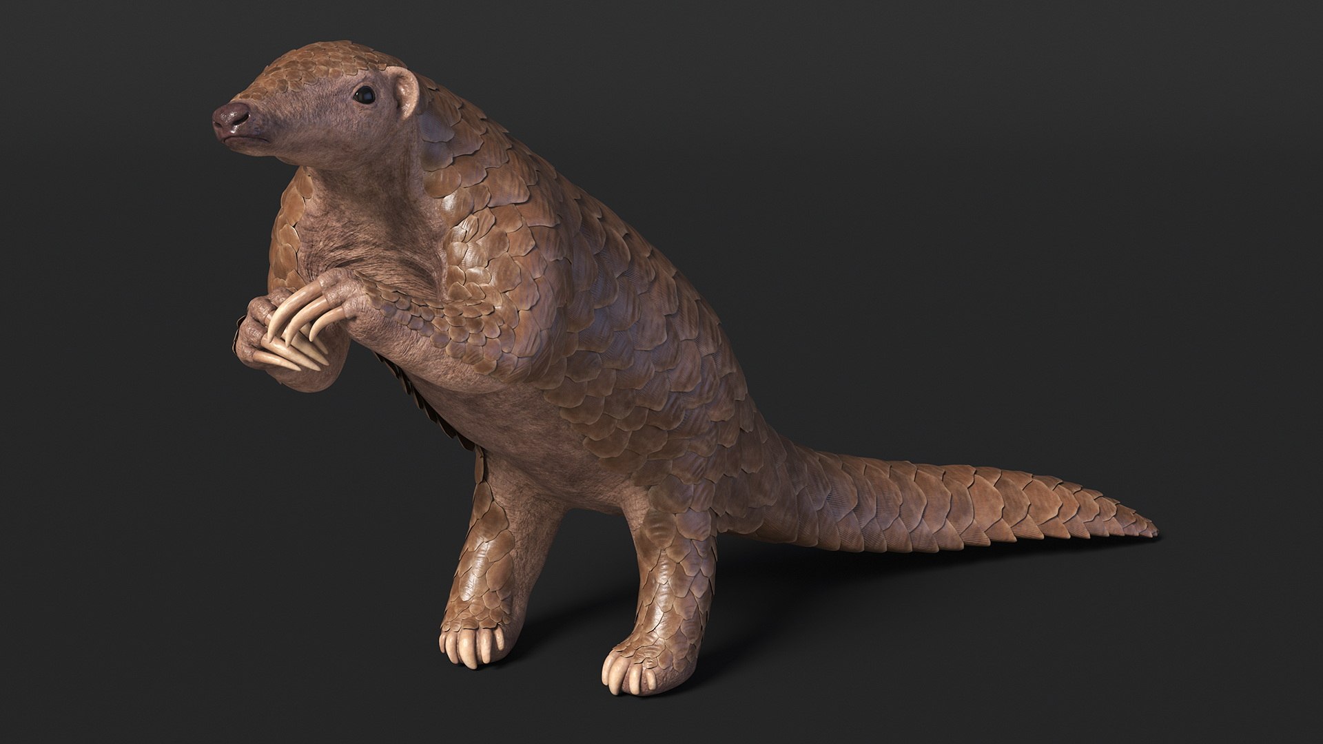 3D Realistic Pangolin In Standing Pose Model - TurboSquid 2218477
