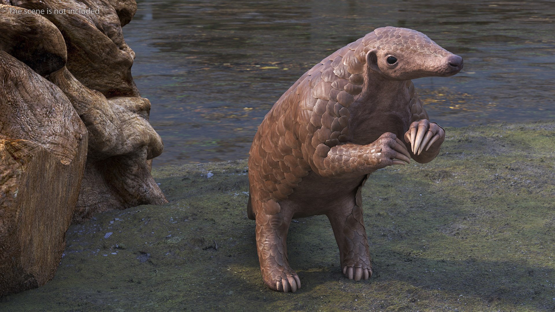 3D Realistic Pangolin In Standing Pose Model - TurboSquid 2218477