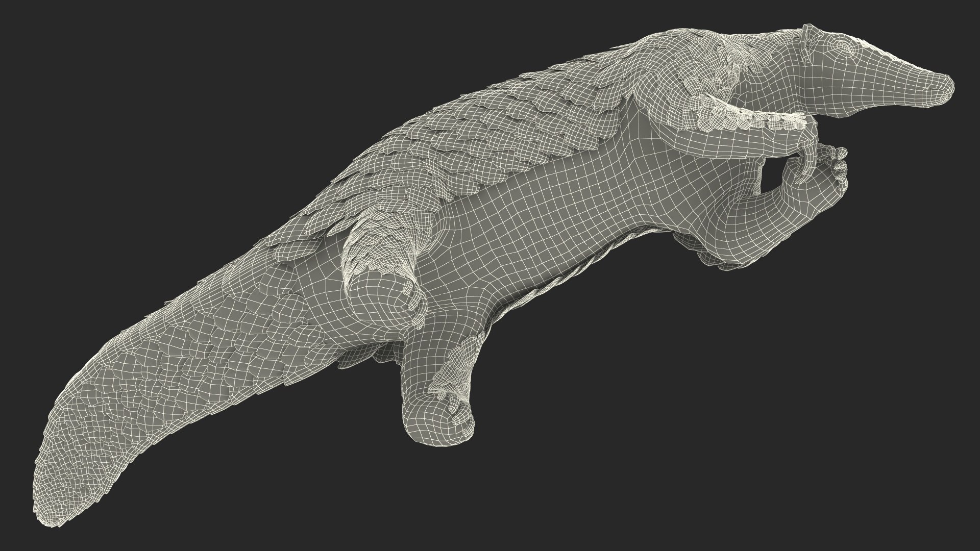 3D Realistic Pangolin In Standing Pose Model - TurboSquid 2218477