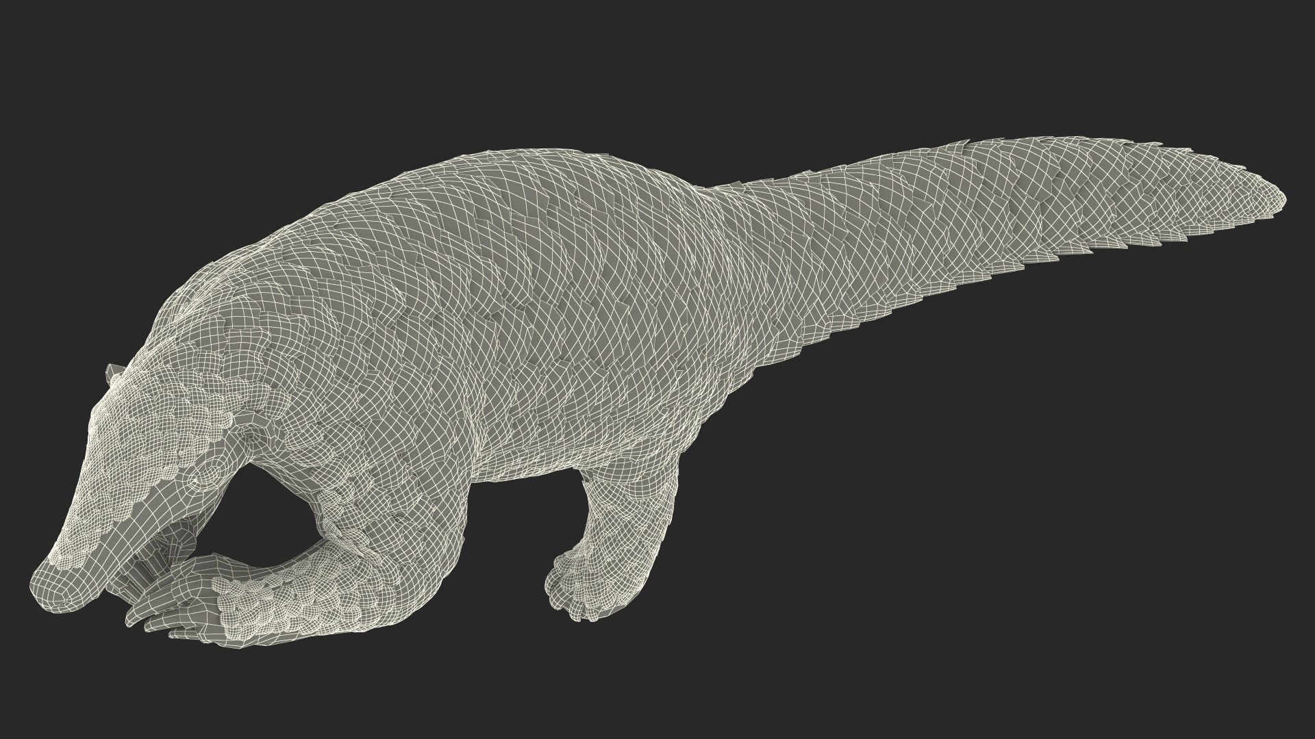 3D Realistic Pangolin In Standing Pose Model - TurboSquid 2218477