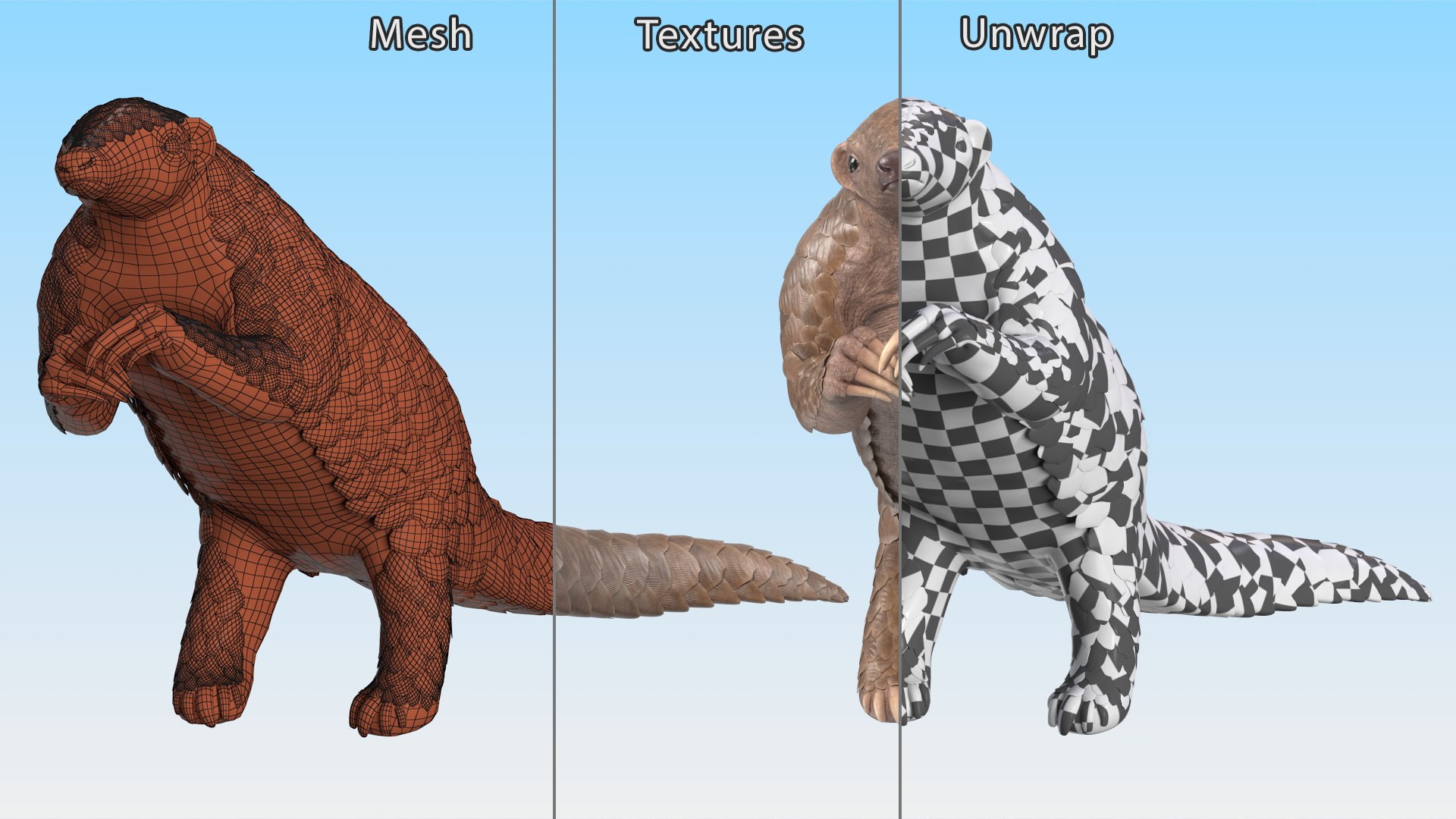 3D Realistic Pangolin In Standing Pose Model - TurboSquid 2218477