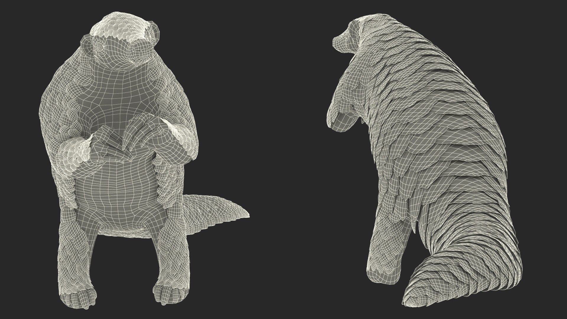 3D Realistic Pangolin In Standing Pose Model - TurboSquid 2218477