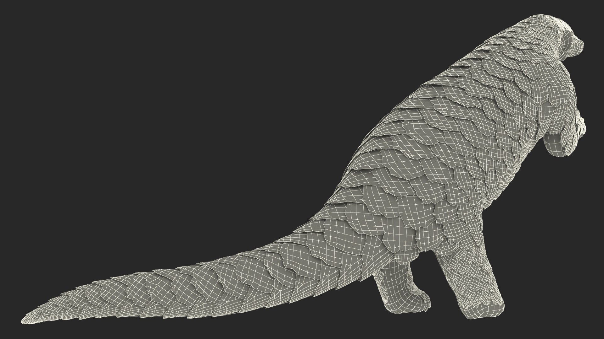 3D Realistic Pangolin In Standing Pose Model - TurboSquid 2218477