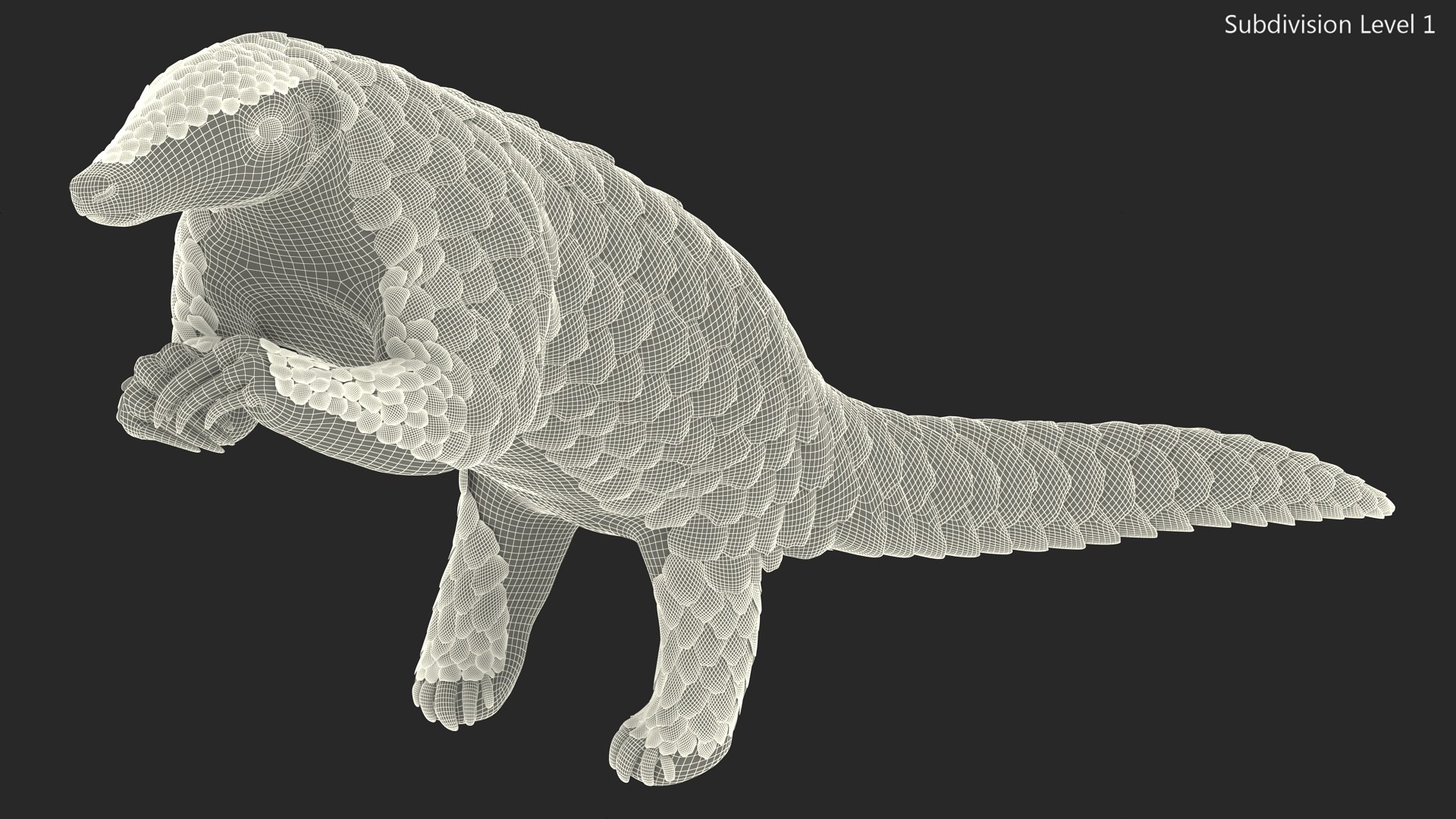 3D Realistic Pangolin In Standing Pose Model - TurboSquid 2218477