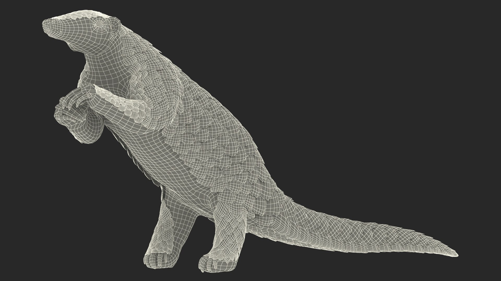 3D Realistic Pangolin In Standing Pose Model - TurboSquid 2218477
