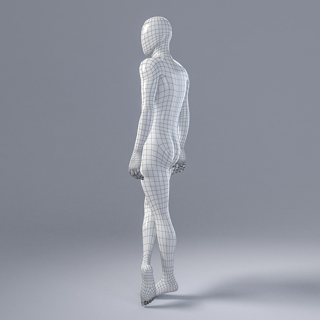 Male Mannequin 3d Model