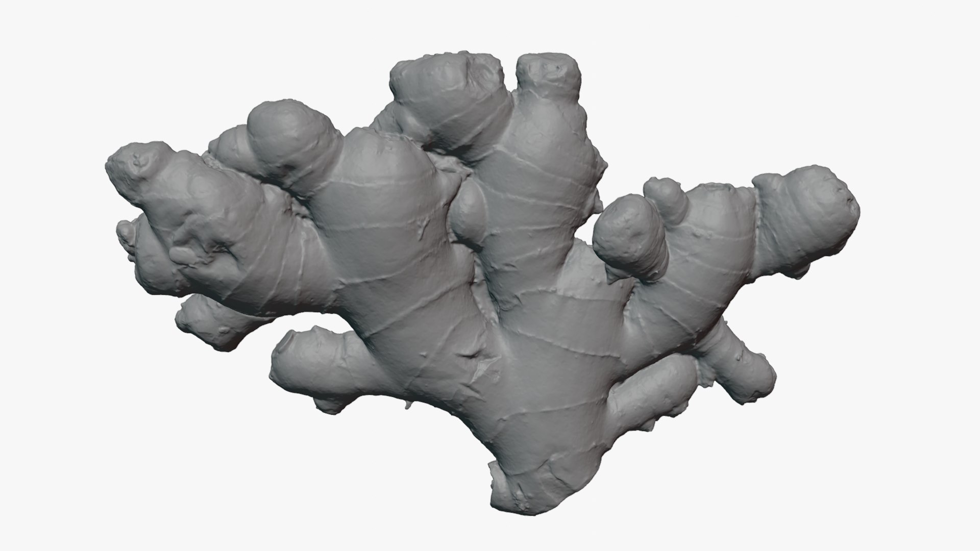 3D Model Big Ginger For 3D Print - TurboSquid 2428596