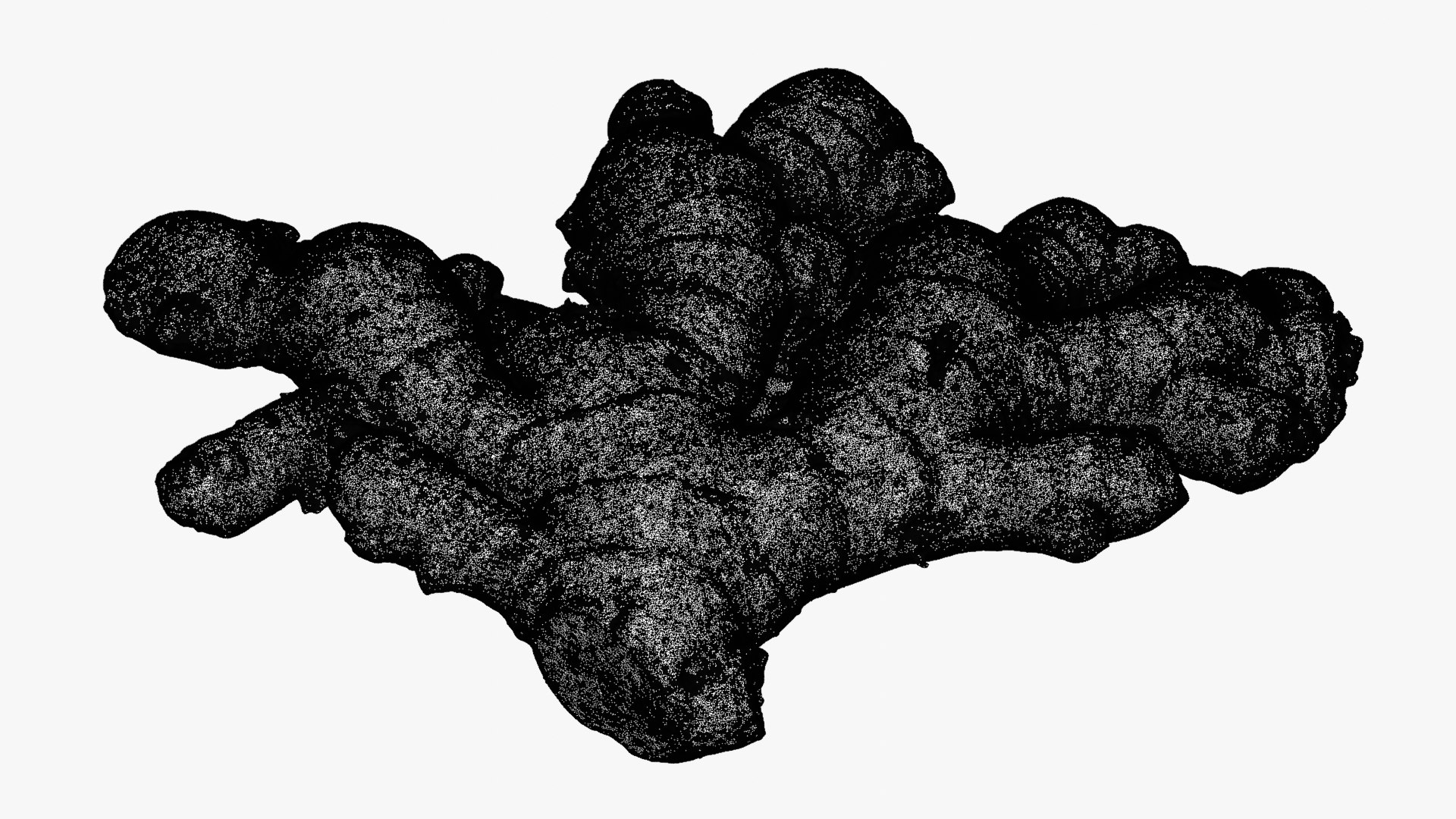 3D Model Big Ginger For 3D Print - TurboSquid 2428596