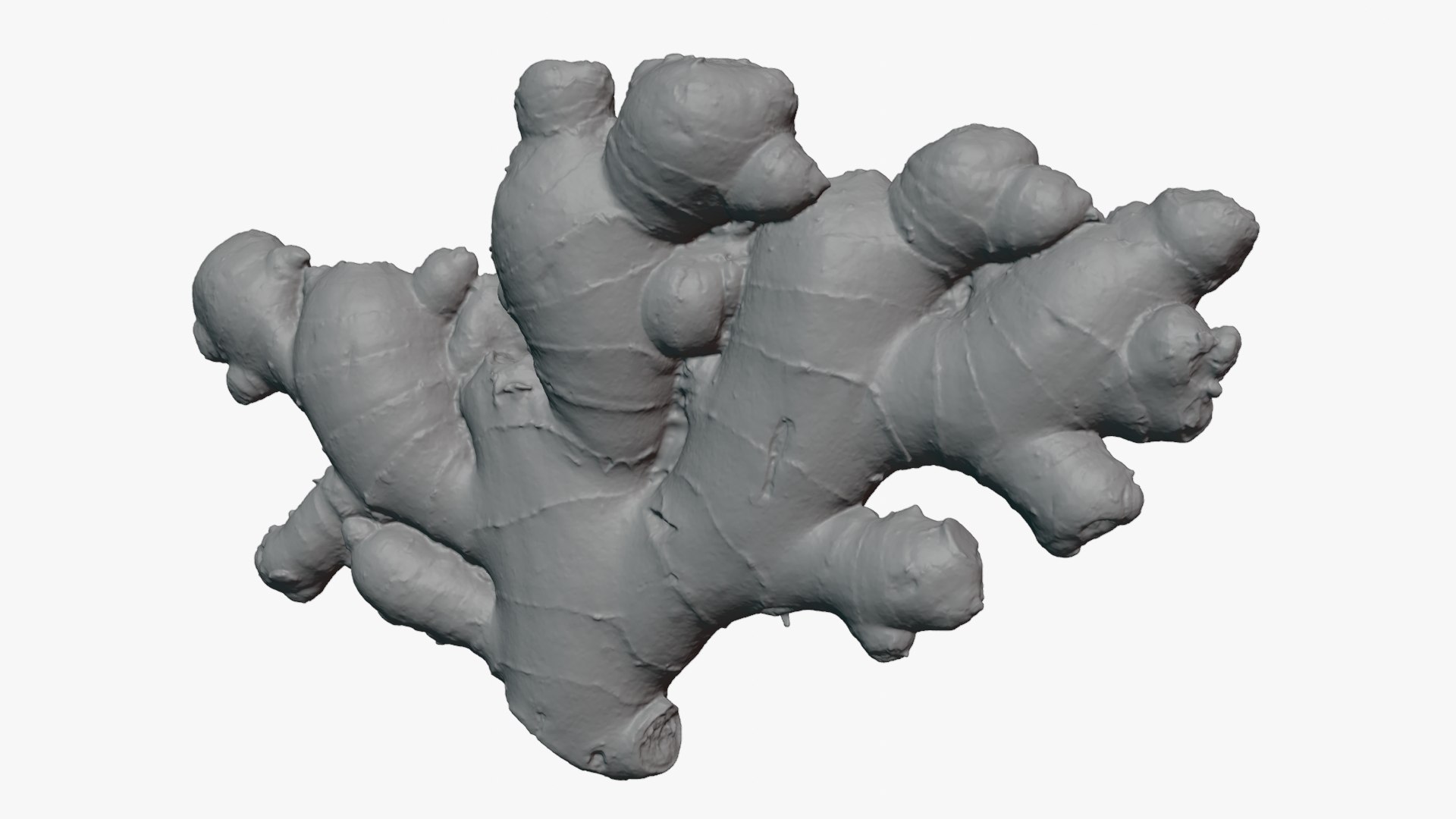 3D Model Big Ginger For 3D Print - TurboSquid 2428596
